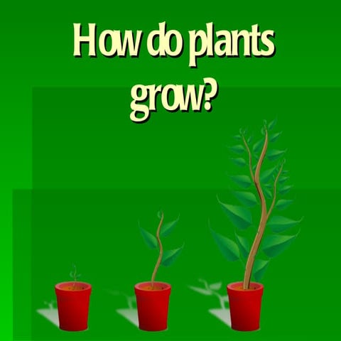 How do plants grow compressed | PPT