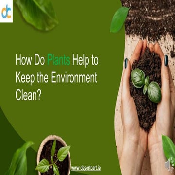 How Do Plants Help to Keep the Environment Clean.pptx | Gardening ...