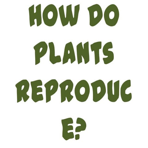 How do plants reproduce | PPTX