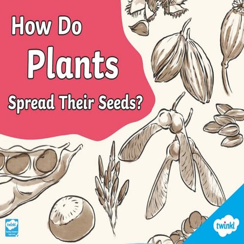 How Do Plants Spread Their Seeds.pptx.pptx