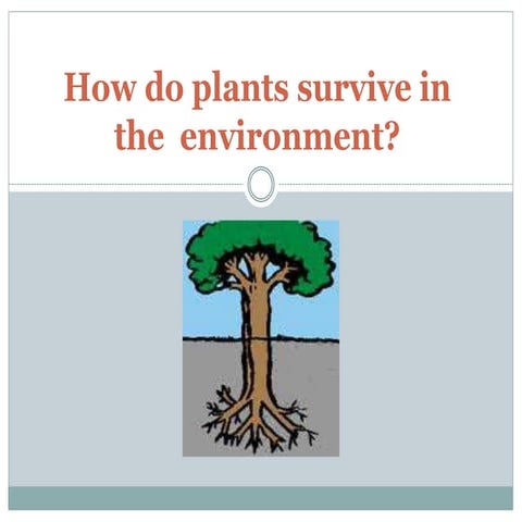 How do plants survive in the environment2 | PPTX