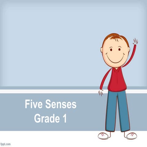 How do we use our senses | PPTX