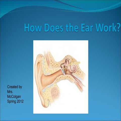 How do you hear sound | PPT