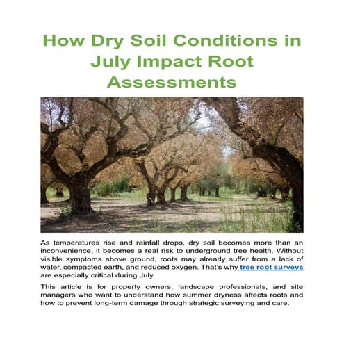How Dry Soil Conditions in July Impact Root Assessments | PDF