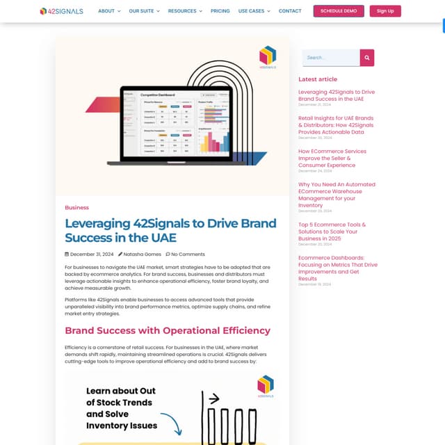 How ECommerce Analytics Drive Brand Success in the UAE.pdf