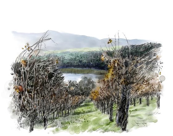 Anne Moller-Racke (Wine Maker) | PDF