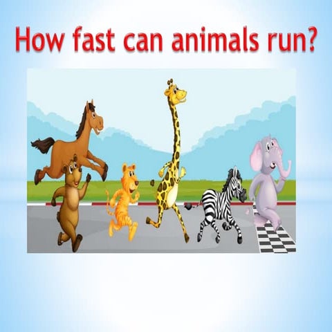 How fast can animals run | PPT
