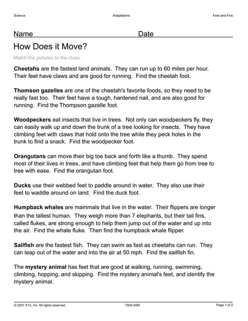 Movement In Animals | PPTX