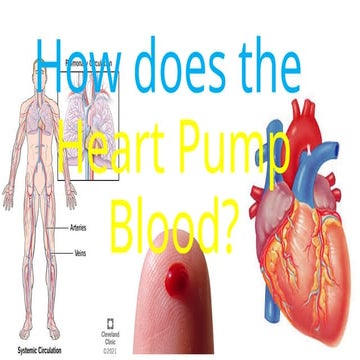 How heart pump blood and the direction of the blood.pptx