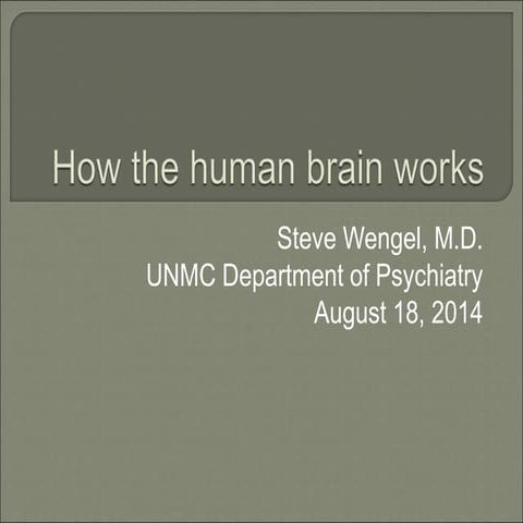 how human brain works presentation for the students which is more ...