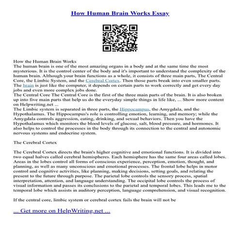 How Human Brain Works Essay | PDF