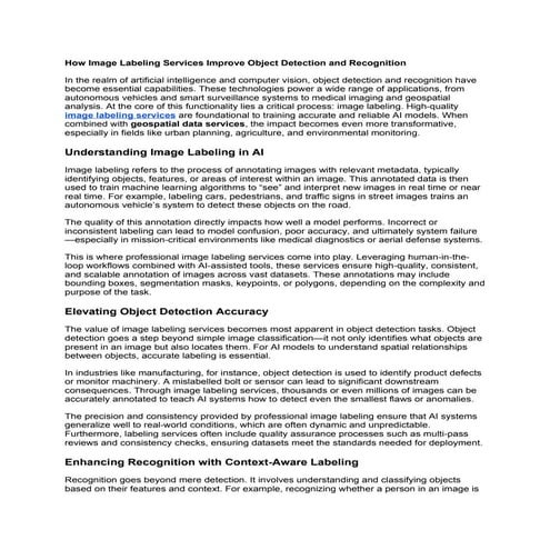 How Image Labeling Services Improve Object Detection And Recognitiondocx