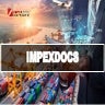 How impex docs services can be customized | PPT