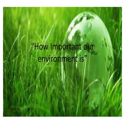 How important our environment is | PPT