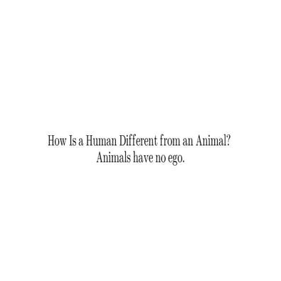 How Is a Human Different from an Animal? Animals have no ego | PPT