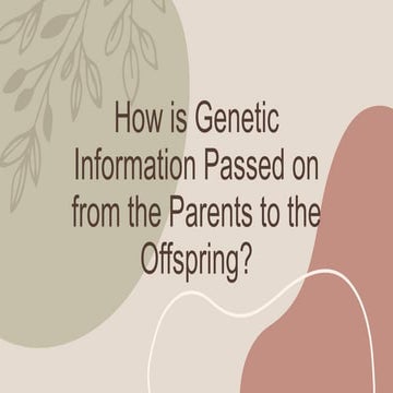 How is Genetic Information Passed on from the.pptx