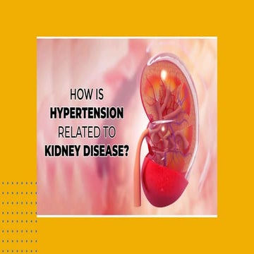 How is Hypertension Related to Kidney Disease.pptx