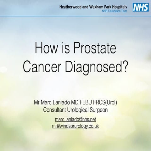 Stages of Prostate Cancer | PDF