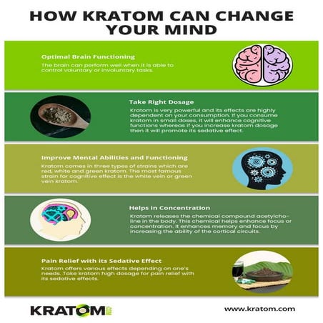 How Kratom Can Change Your Mind | PDF
