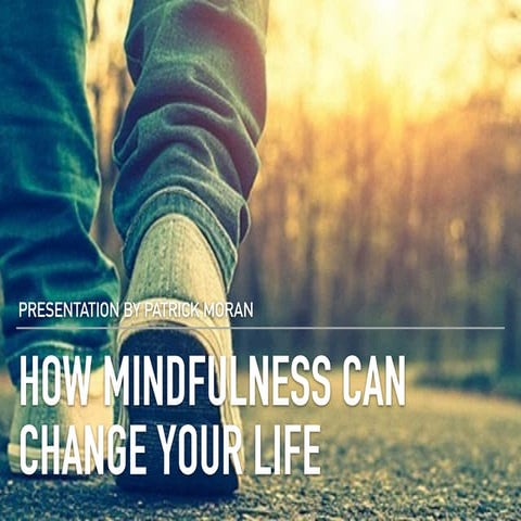 How Mindfulness Can Change Your Life | PDF