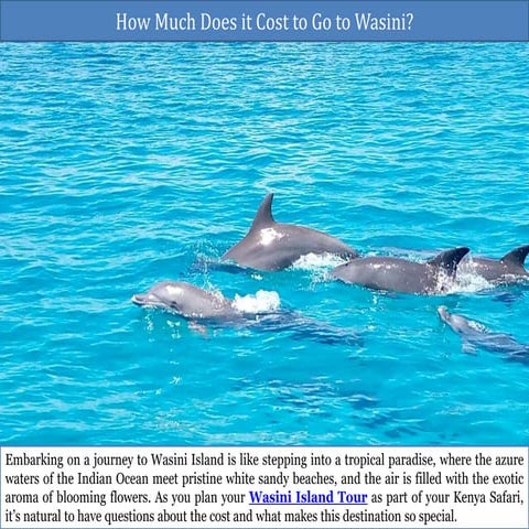 How Much Does it Cost to Go to Wasini? | PPTX