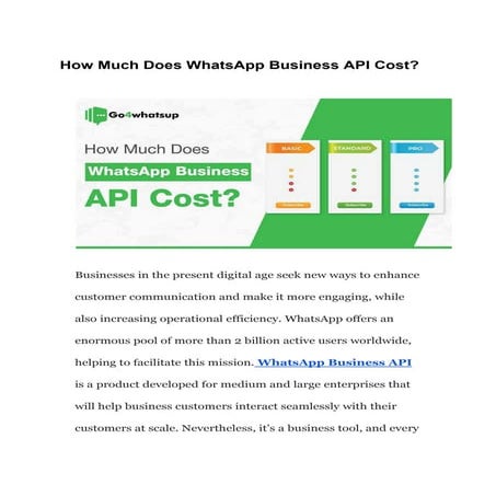 How Much Does WhatsApp Business API Cost? | PDF | Email | Internet
