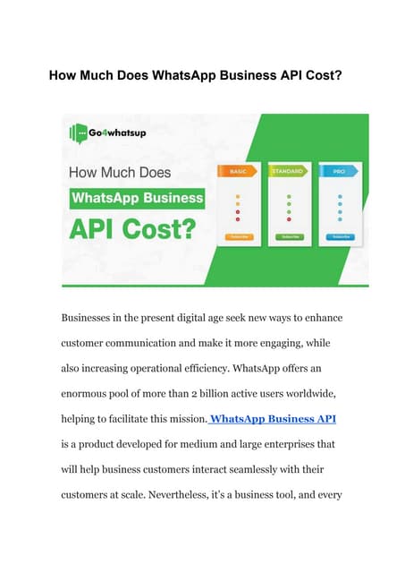 WhatsApp API Documentation: A Beginner’s Guide | PDF