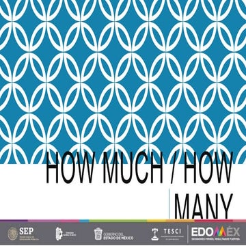 How much how many | PPTX | Currencies | Economy