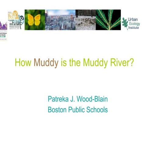 How Muddy Is The Muddy River | PDF | Geography | Science