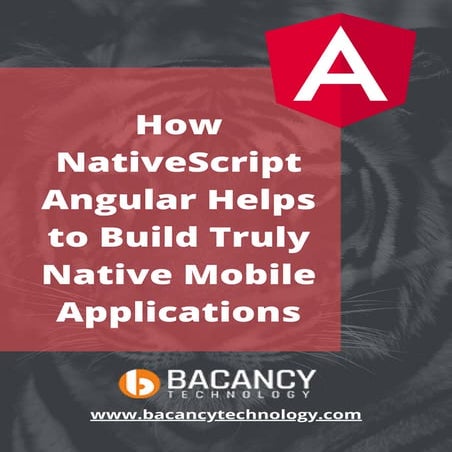 How Native Script Angular Helps To Build Truly Native Mobile Applications Pdf 9160
