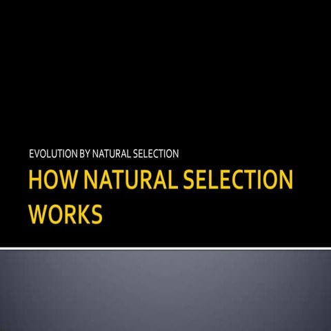How natural selection works | PPTX