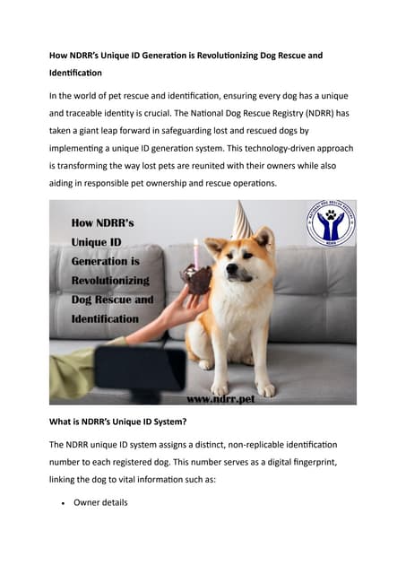 Dog Birth Certificate Generation Using NDRR National Dog Rescue ...