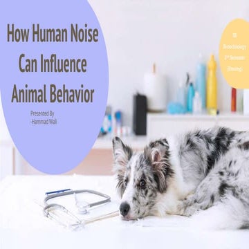 How noise effects animals.pptx