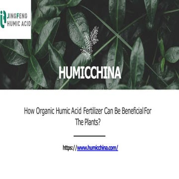 How Organic Humic Acid Fertilizer Can Be Beneficial For The Plants.pptx