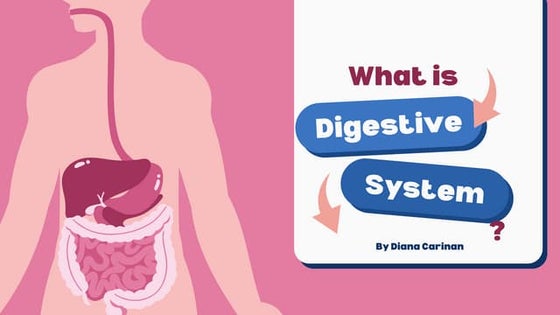 Grade 6-science-digestive-system | PPT