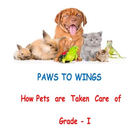 How pets are taken care of | PPTX