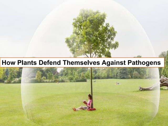 Defense mechanisms in plants | PPTX