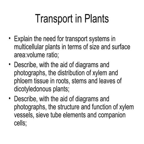 How plants survive grade 11 | PPT