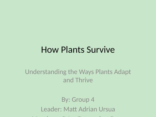 Stages of development | PPTX