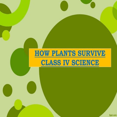 How plants survive CLASS IV | PPT