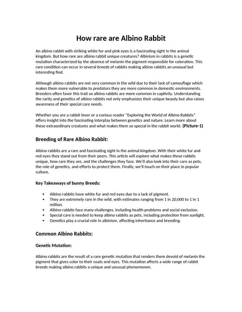 Are Albino Rabbits Red Eyes: Understanding Albino Rabbit Breed | PDF