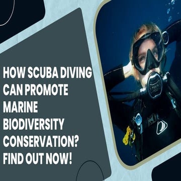 How Scuba Diving Can Promote Marine Biodiversity Conservation Find Out ...