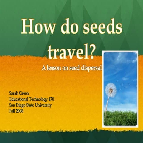 How Seeds Travel | PPT