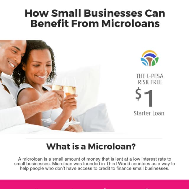 How Small Businesses Can Benefit From Microloans | PDF