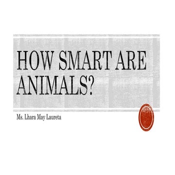 How Smart Are Animals.pptx