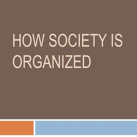How society is organized | PPTX