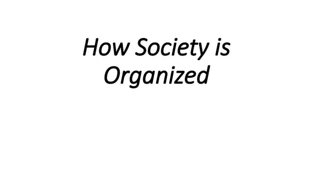 Social organization.pptx