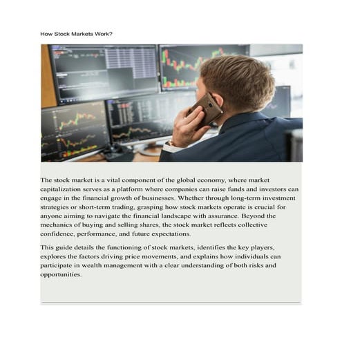 How Stock Markets Work? Ultimate Guide | Skyriss | PDF