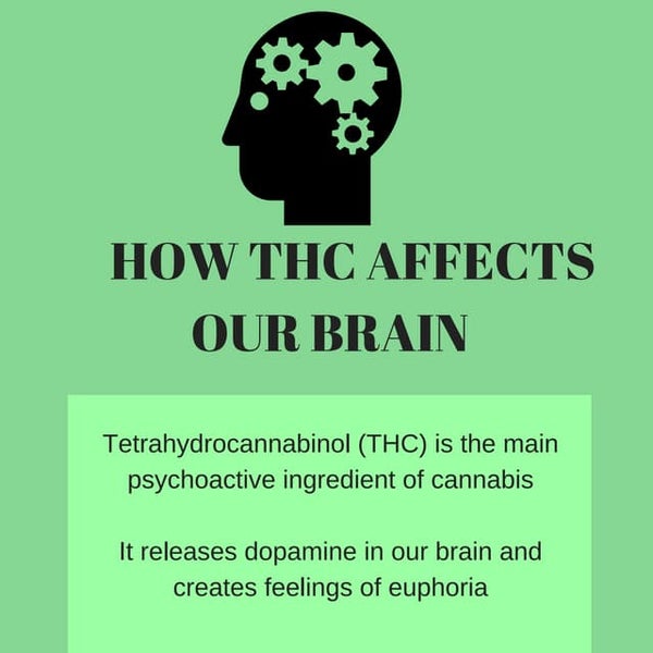 THC AND ADOLESCENCE