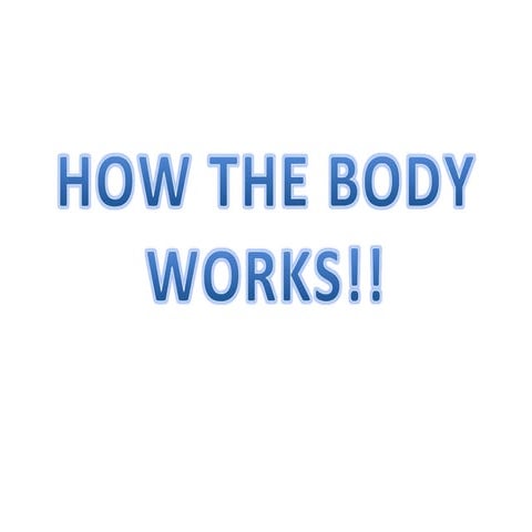 How the body works | PPT